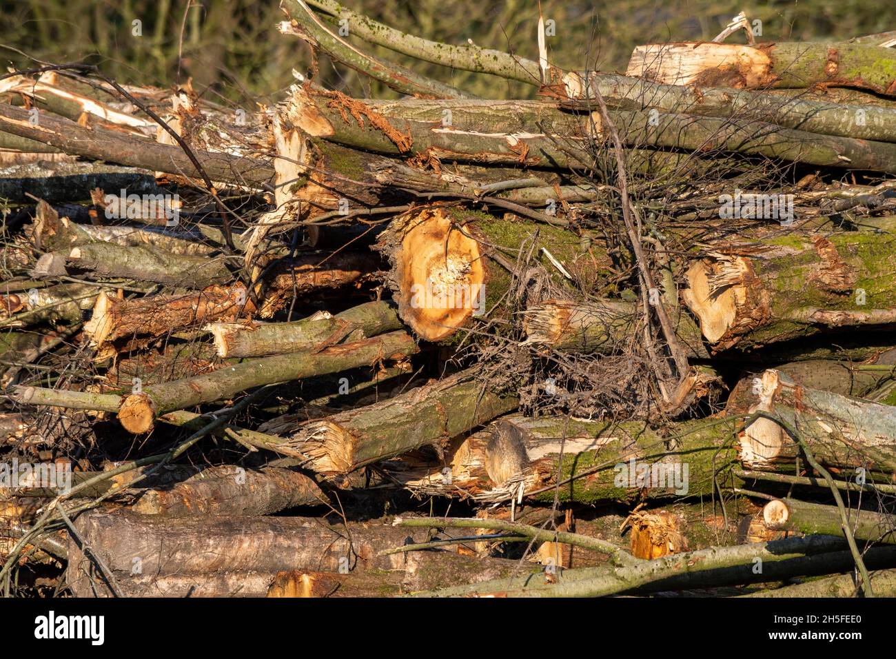 Carbon nutral hi-res stock photography and images - Alamy