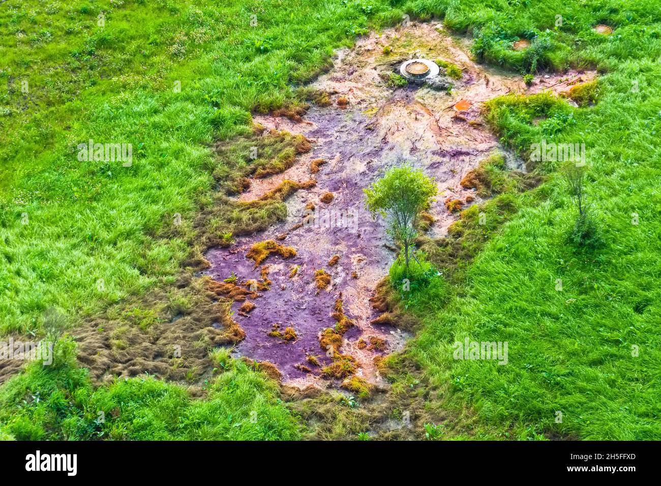 Emission of pollution by sewage from the city of the hatch on the lawn ...