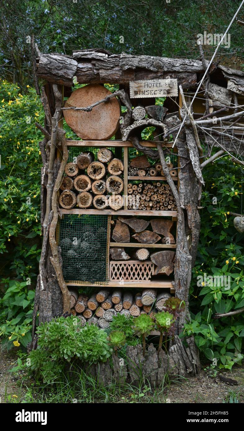 Vertical shot of an insect house in the forest Stock Photo - Alamy