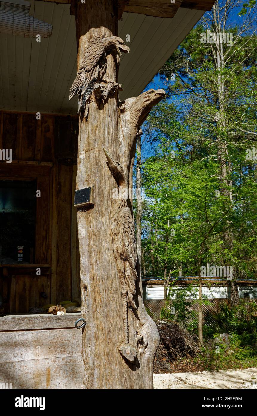 Survival of the wild hi-res stock photography and images - Alamy