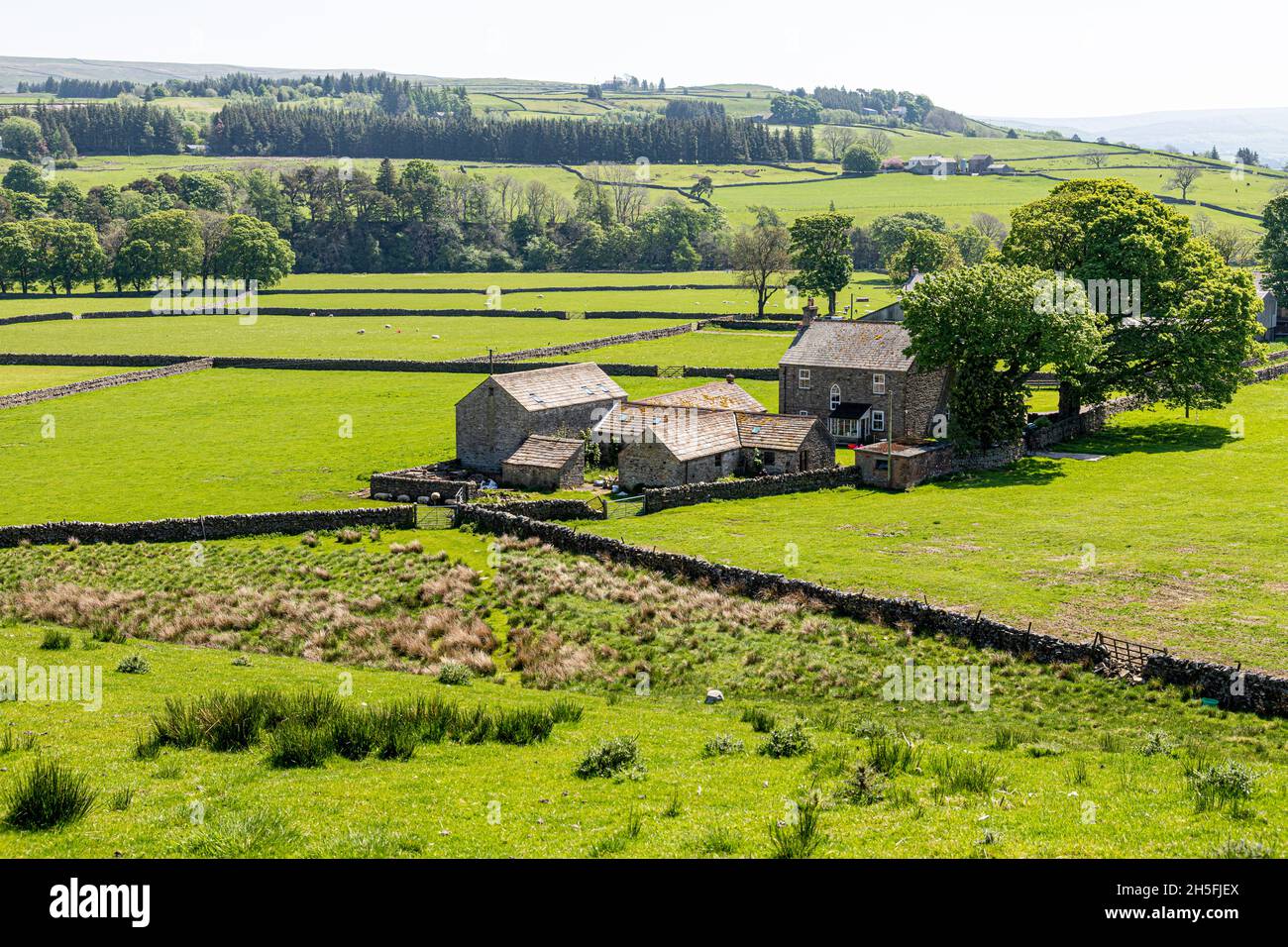 Traditional stone farm buildings on the Pennines beside the valley of ...