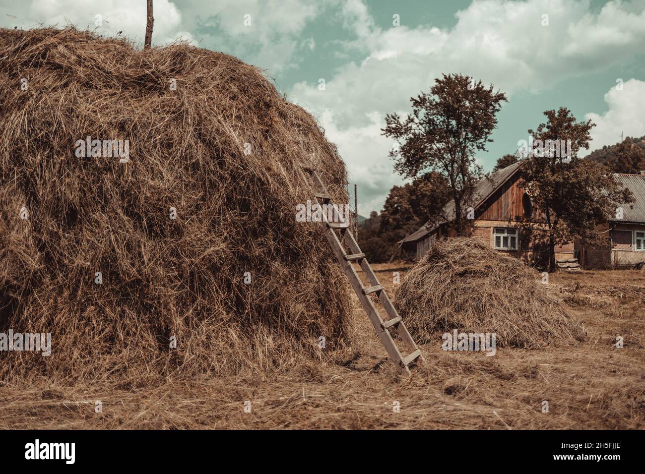 Haystack on the field high in the mountains in the village Stock Photo ...