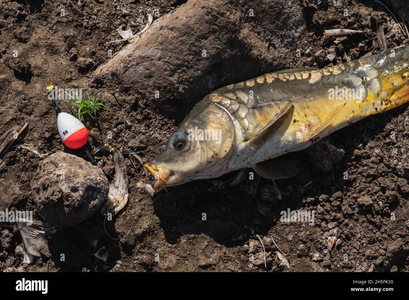 Fisherman float rod on shore hi-res stock photography and images - Alamy