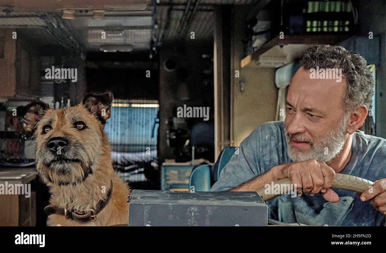 Tom Hanks Dog Movie