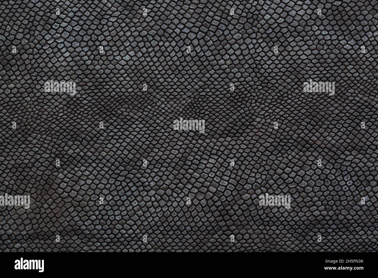 black snake skin texture Stock Photo - Alamy