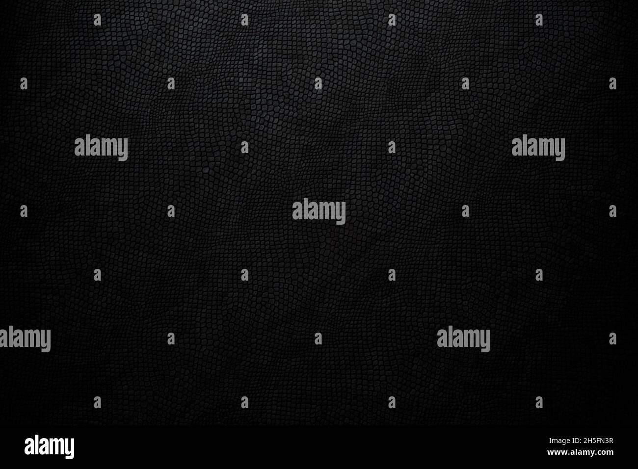 black snake skin texture Stock Photo - Alamy