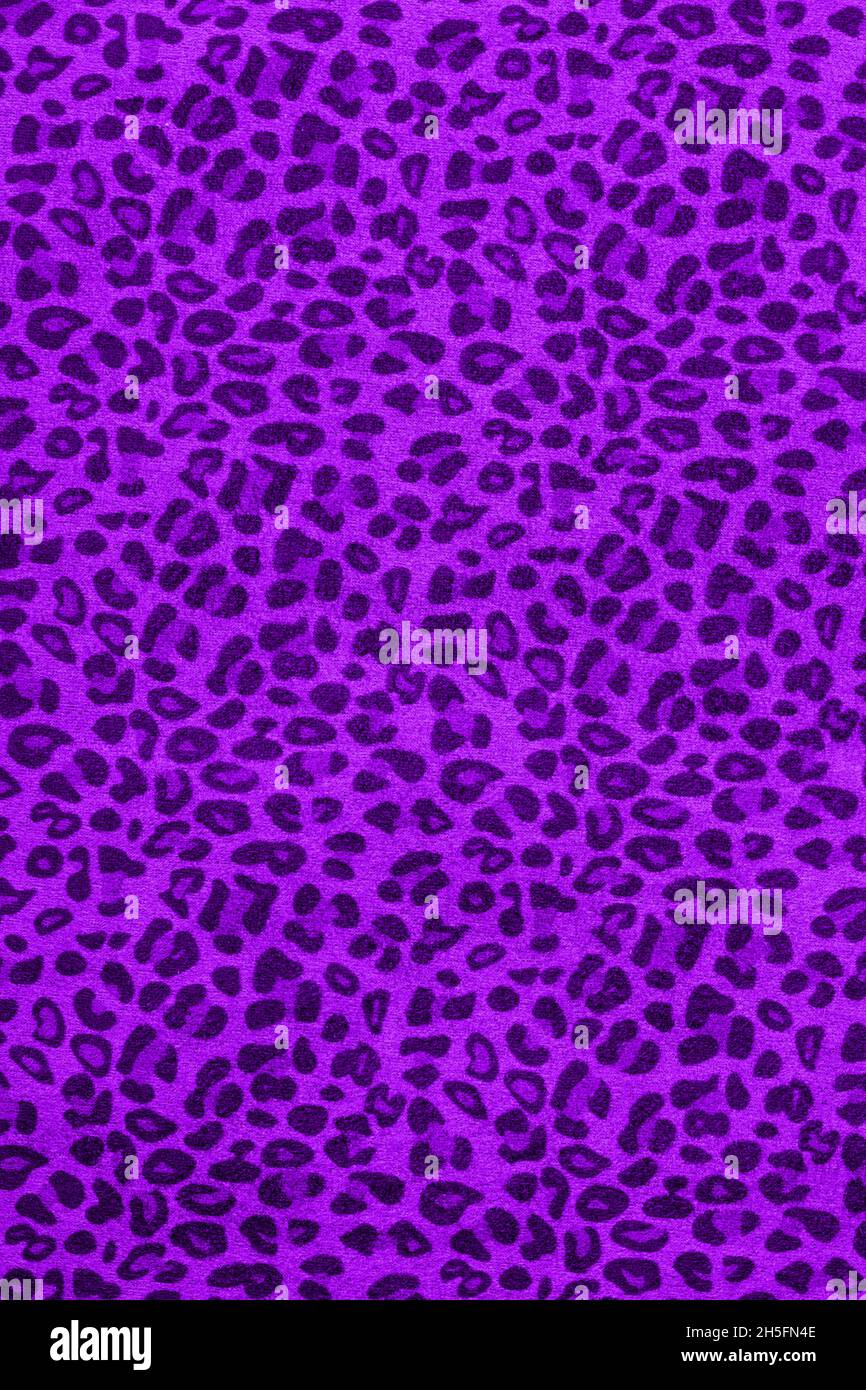 Leopard spotted fur texture Stock Photo - Alamy