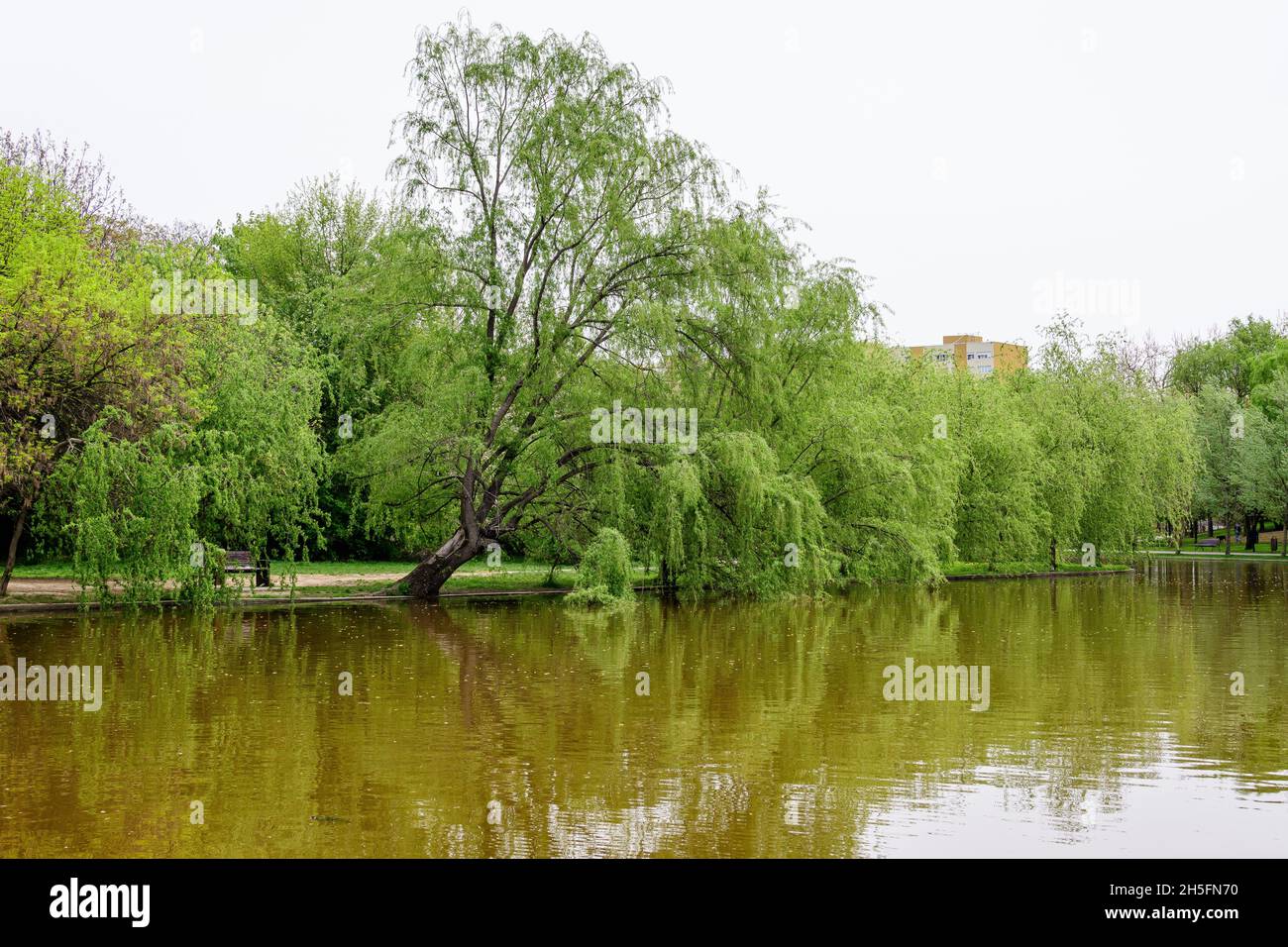 Parcul titan hi-res stock photography and images - Alamy