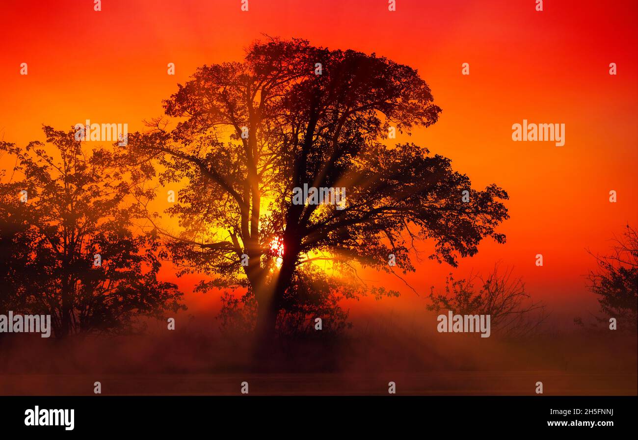 Rays passing through hi-res stock photography and images - Alamy