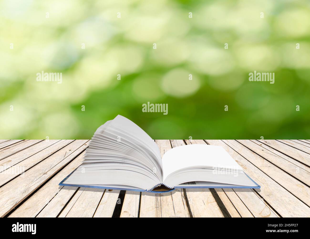 Open book on wood floor with green background Stock Photo - Alamy