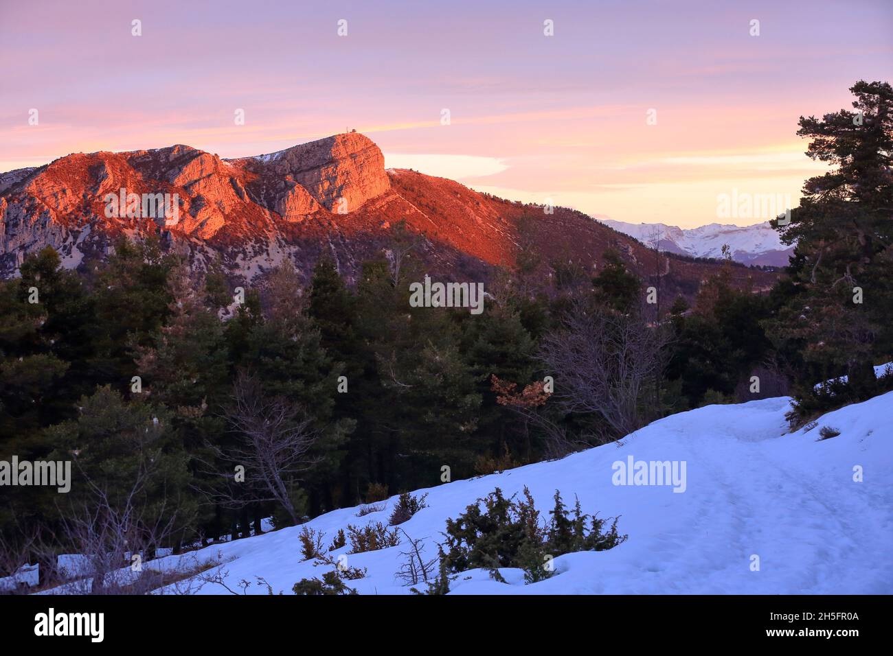 Mont Arpille, Parc regional des Prealpes d'Azur, Alpes-Maritimes, 06 ...