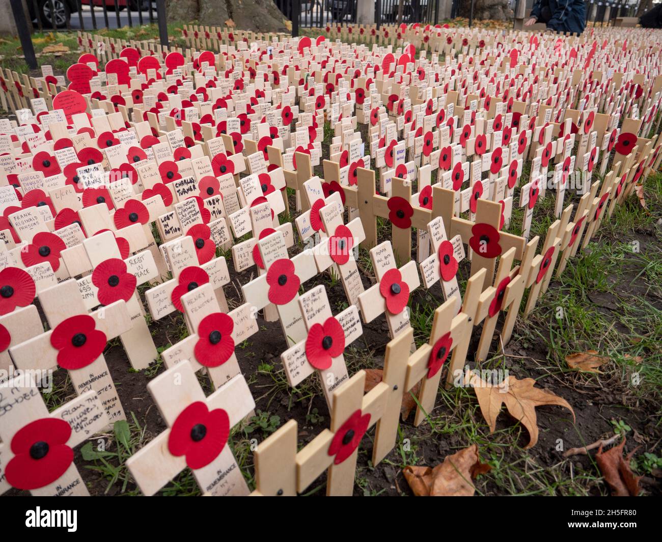 Volunteers plant crosses and poppies in Westminster Abbey Field of ...