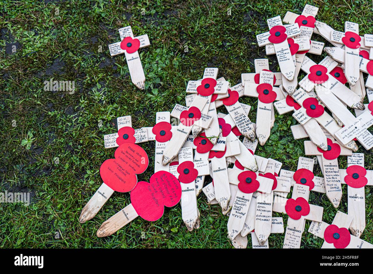 Remembrance crosses with poppies Stock Photo - Alamy