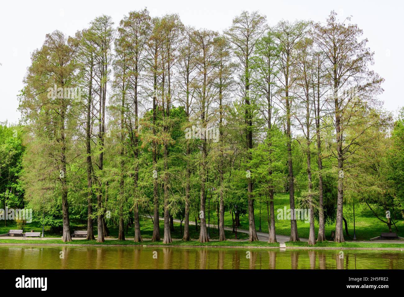 Parcul ior hi-res stock photography and images - Alamy
