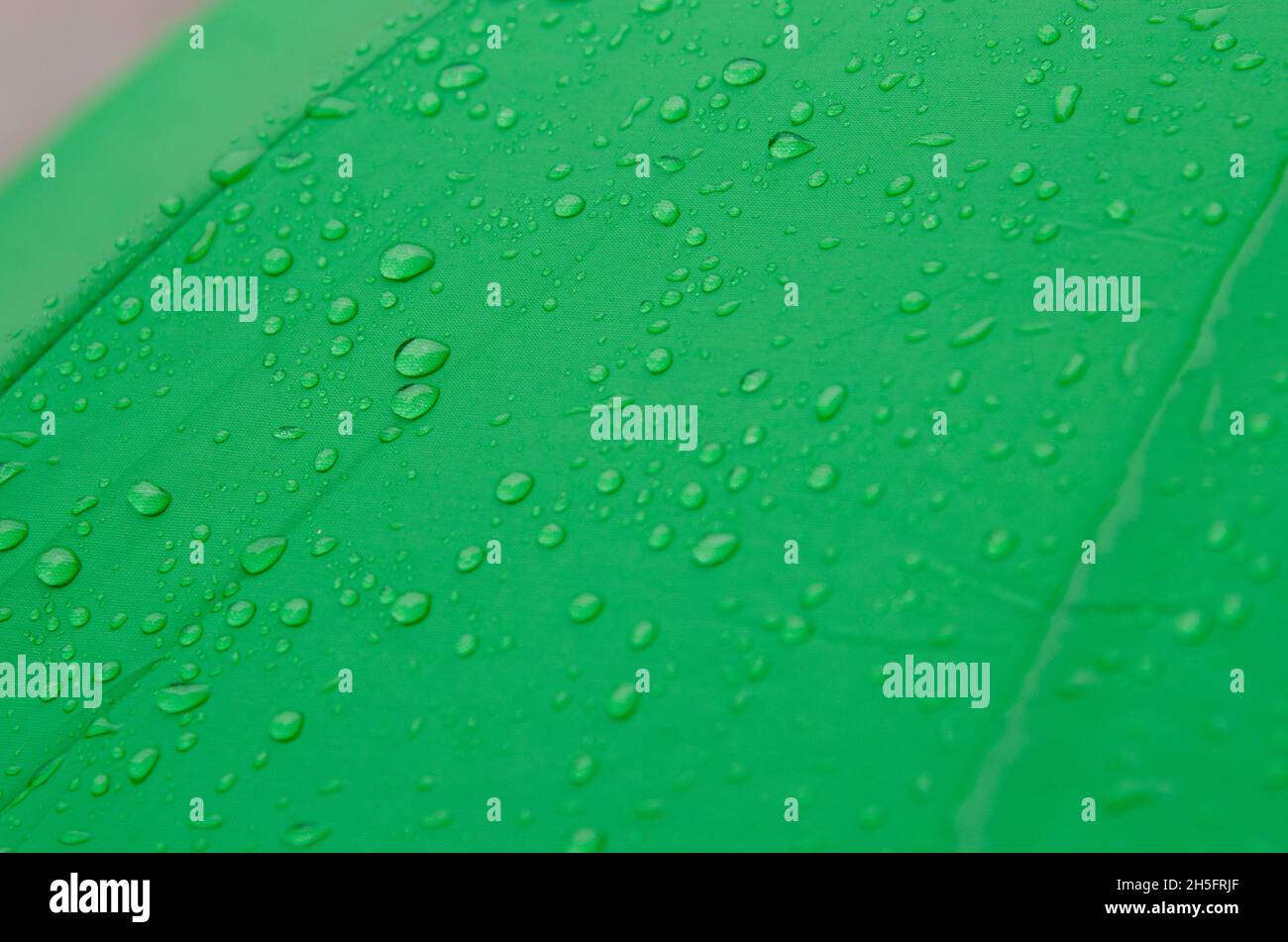Raining rain falling on green hi-res stock photography and images - Alamy