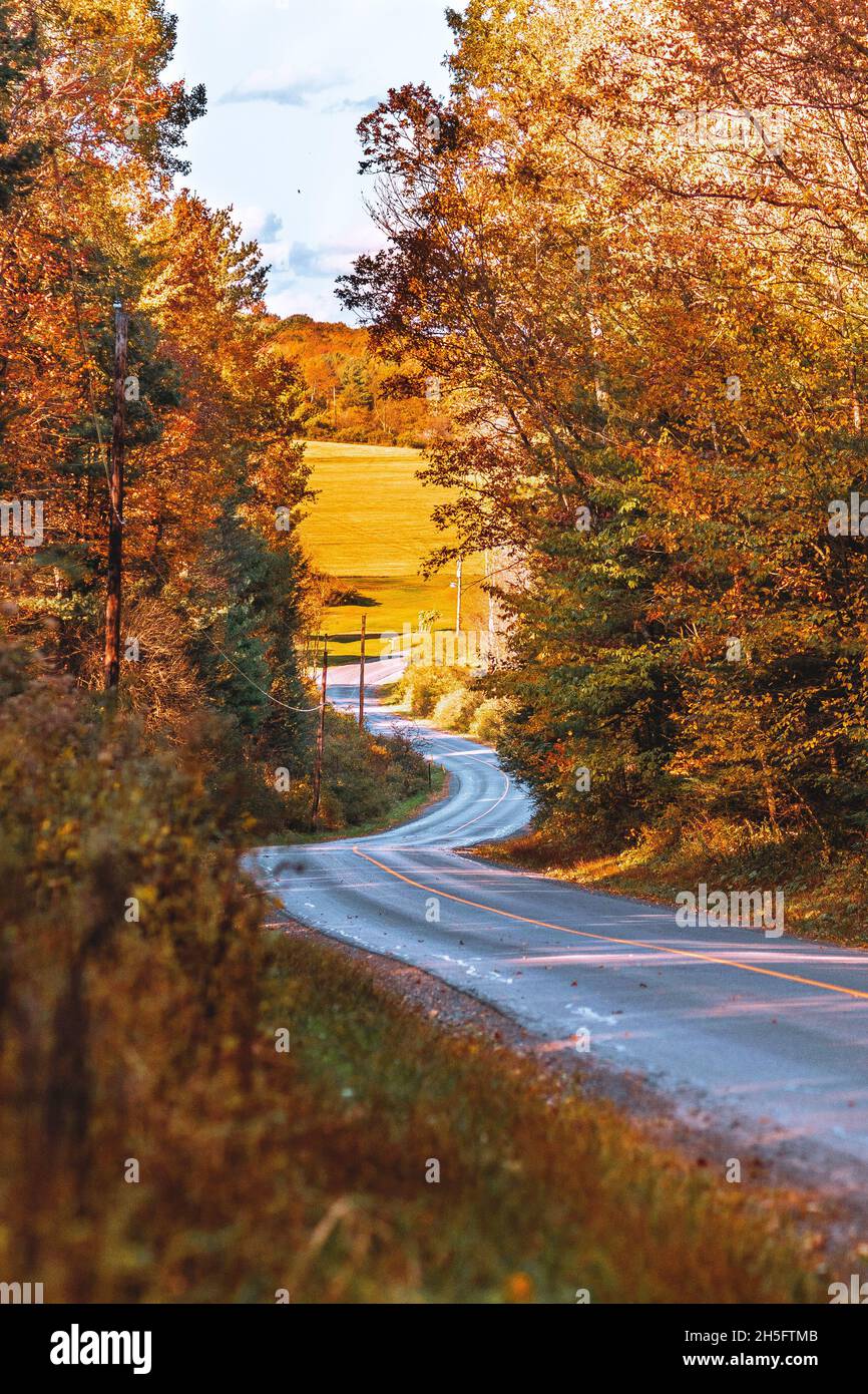 Road in a park in the fall colors Stock Photo - Alamy