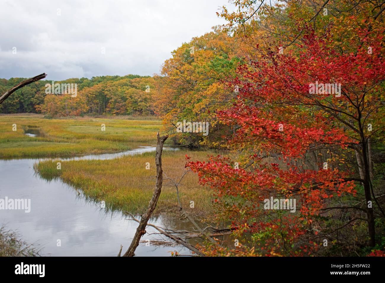 Views of marshland and winding brooks along the Arrowsmith trail at ...