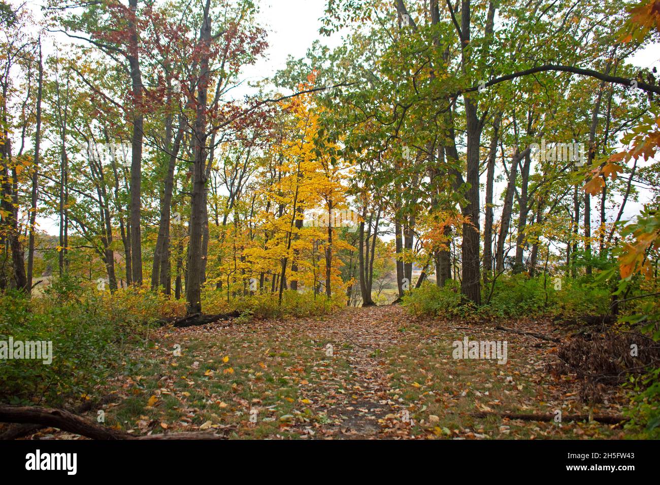 Views of marshland and winding brooks along the Arrowsmith trail at ...