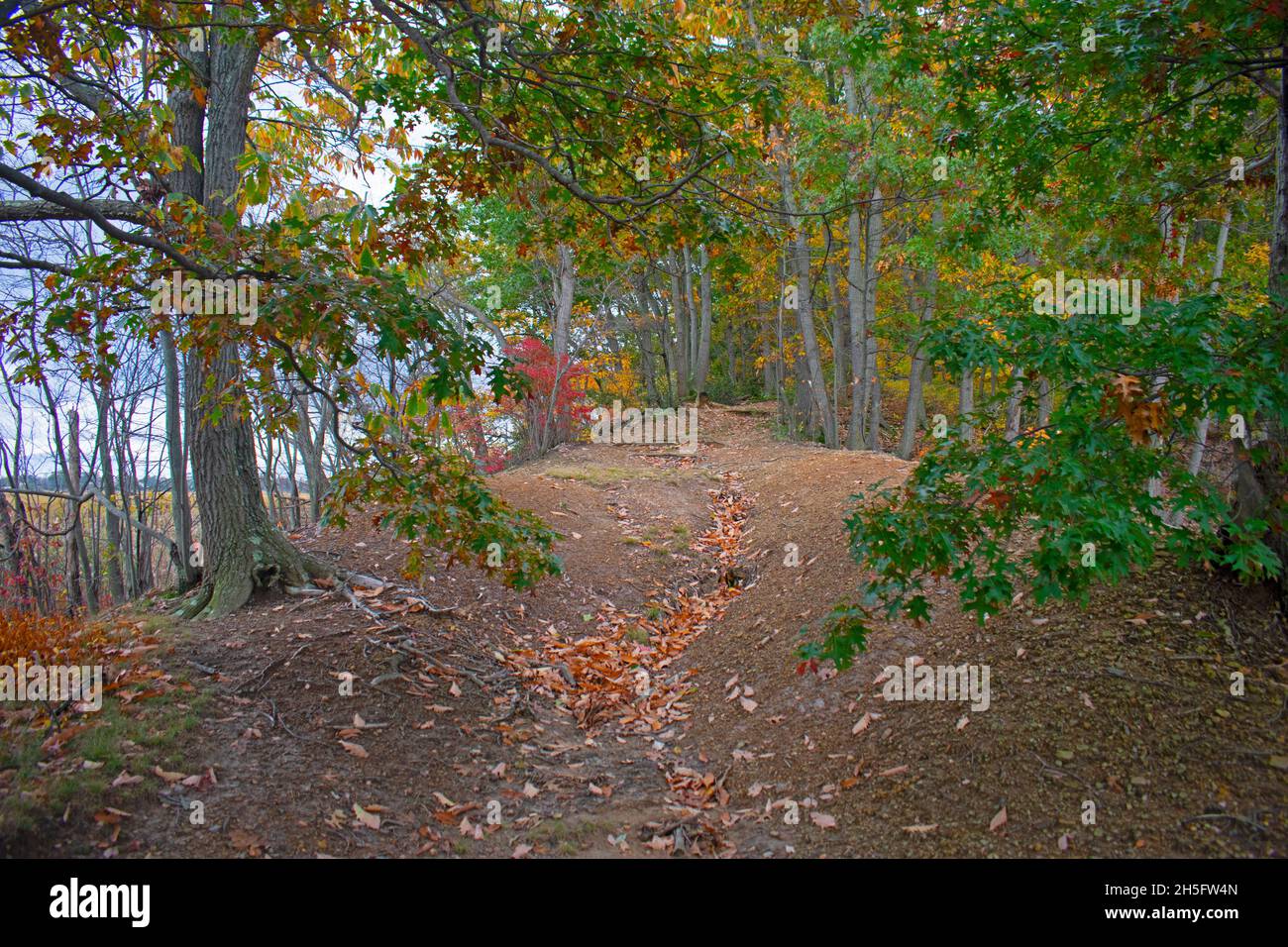 Views of marshland and winding brooks along the Arrowsmith trail at ...