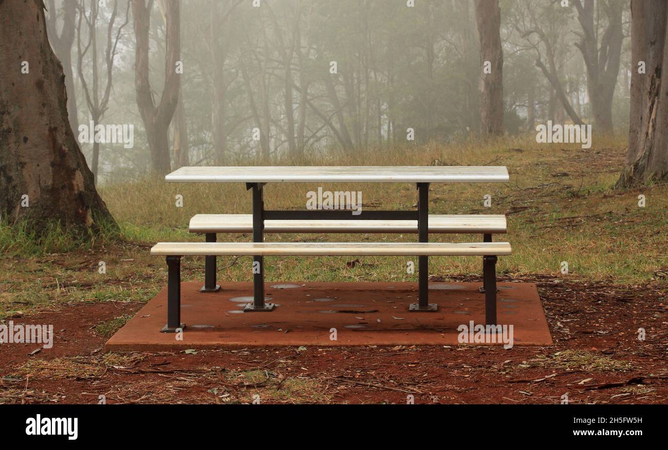 Closeup shot wooden bench forest hi-res stock photography and images ...