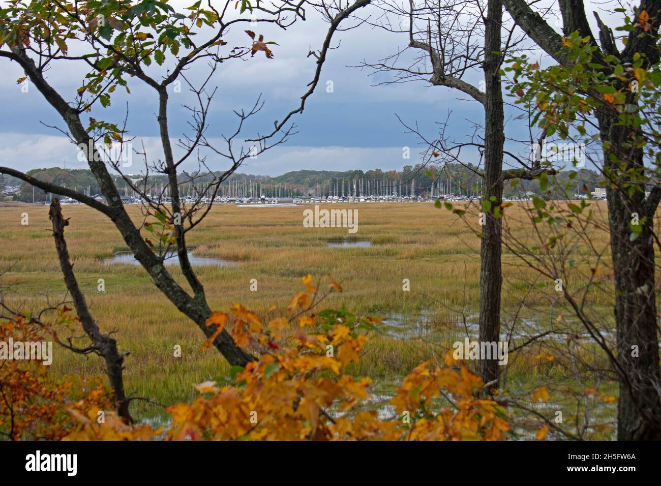 Views of marshland and winding brooks along the Arrowsmith trail at ...