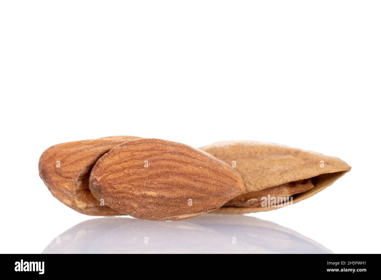 Two nuts of unpeeled dried almonds, close-up, isolated on white Stock ...