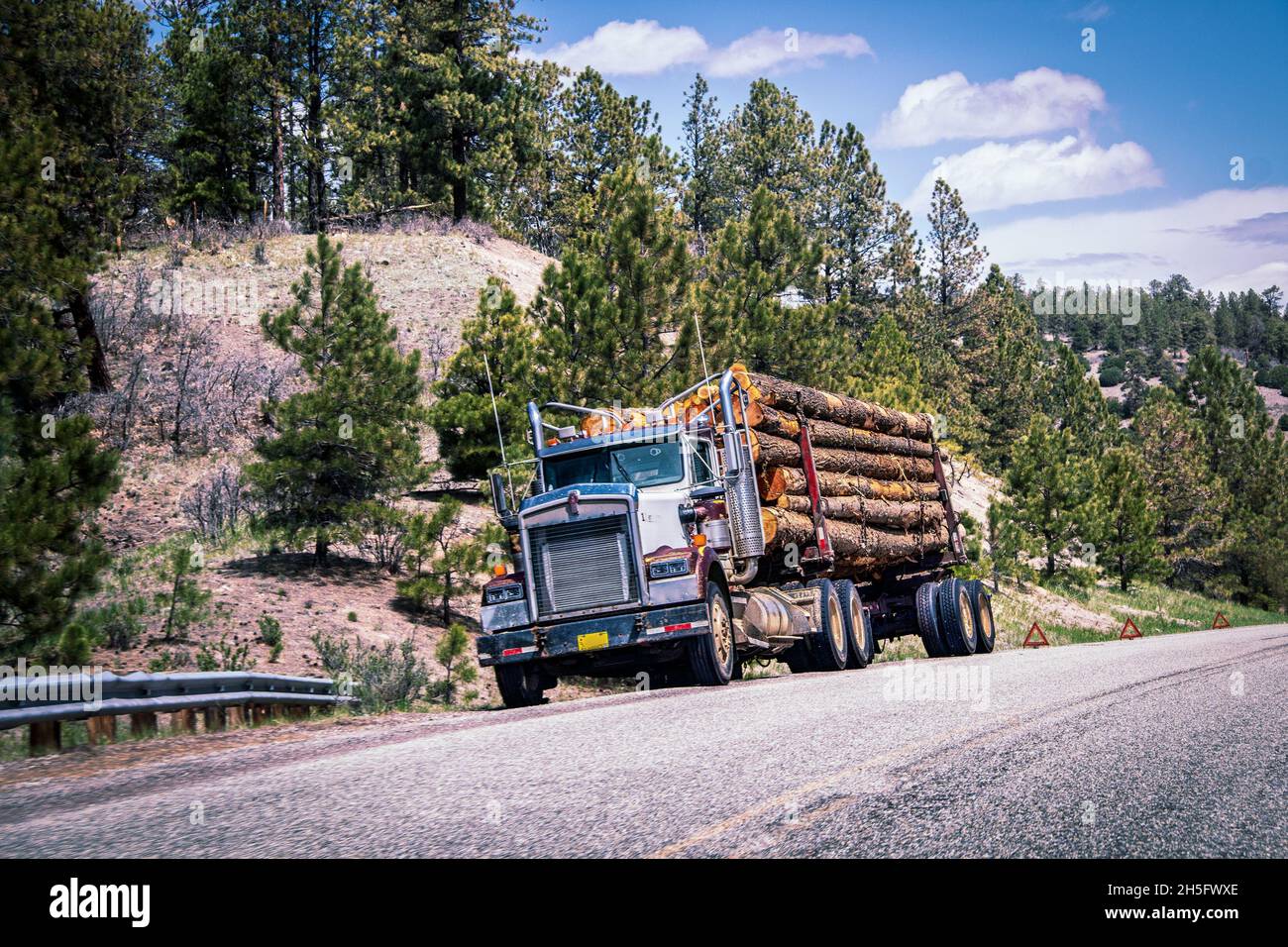 Loaded log truck parked beside highway on steep incline surrounded by ...