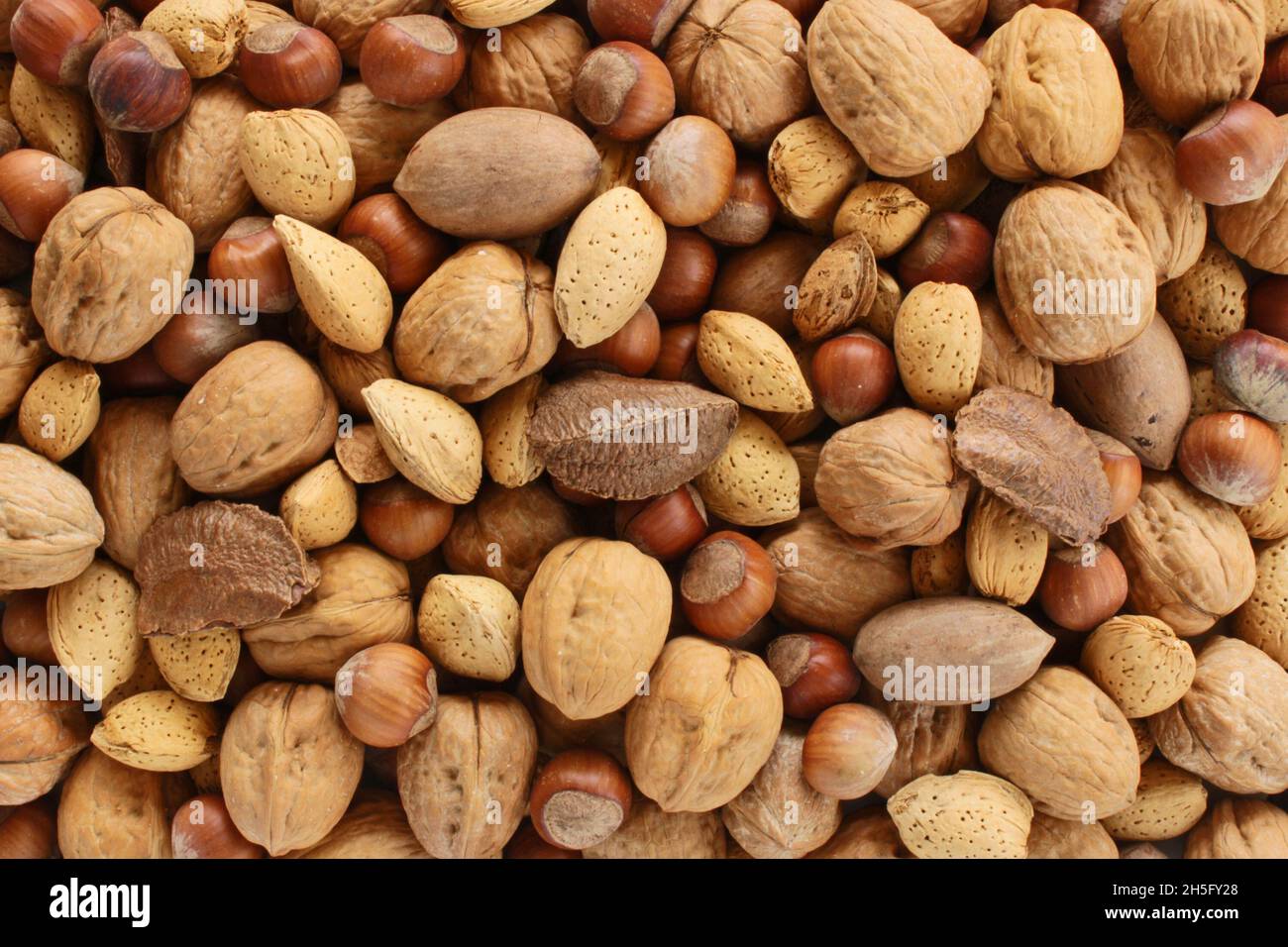 Mixed Nuts In Shell High Resolution Stock Photography and Images - Alamy