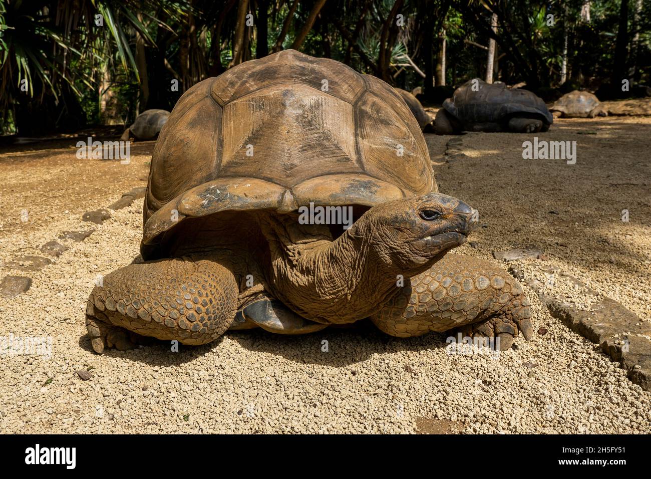 Endangered spawning hi-res stock photography and images - Alamy