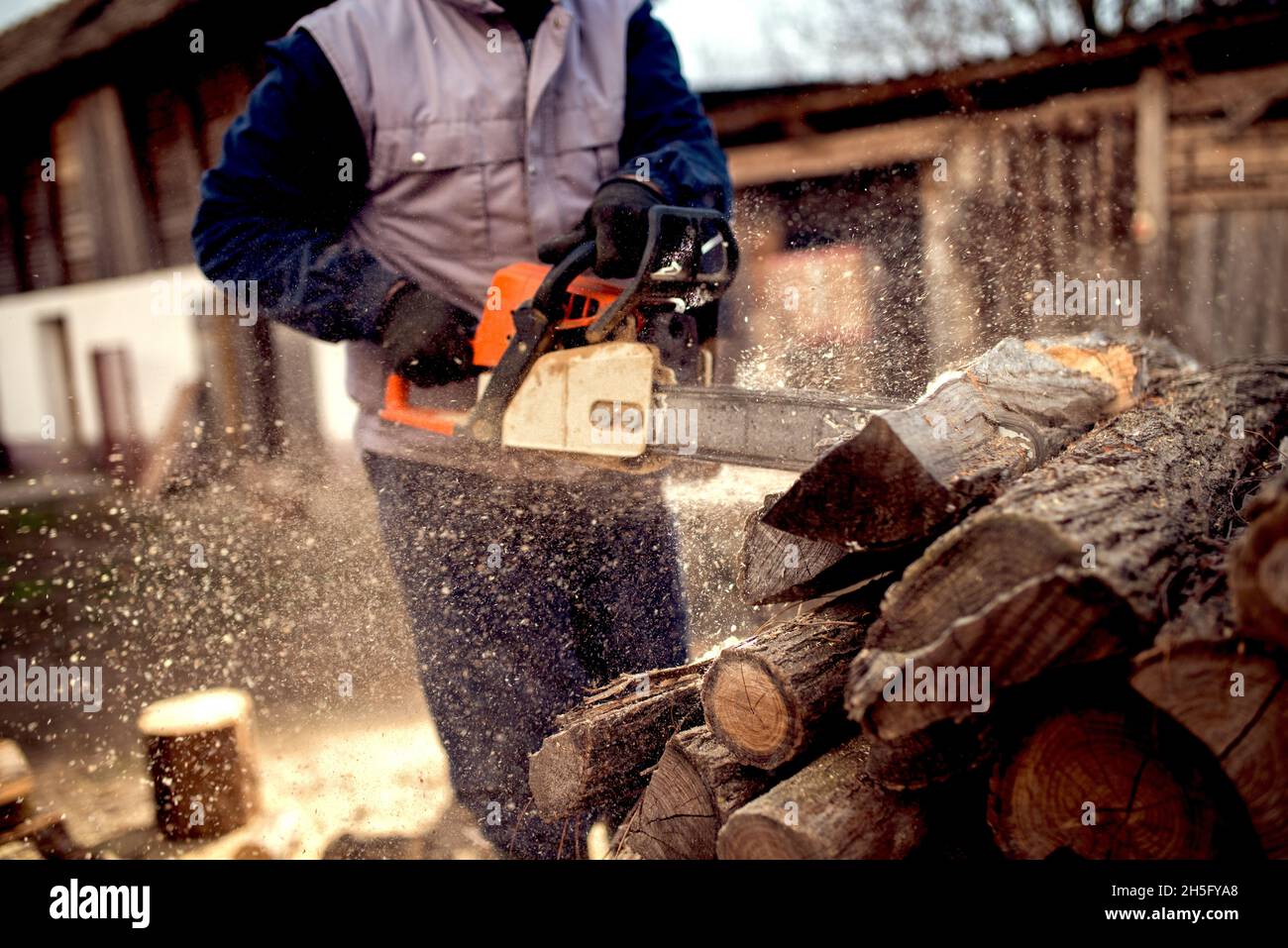 Chainsaw in action cutting wood. Man cutting wood with saw, dust and ...