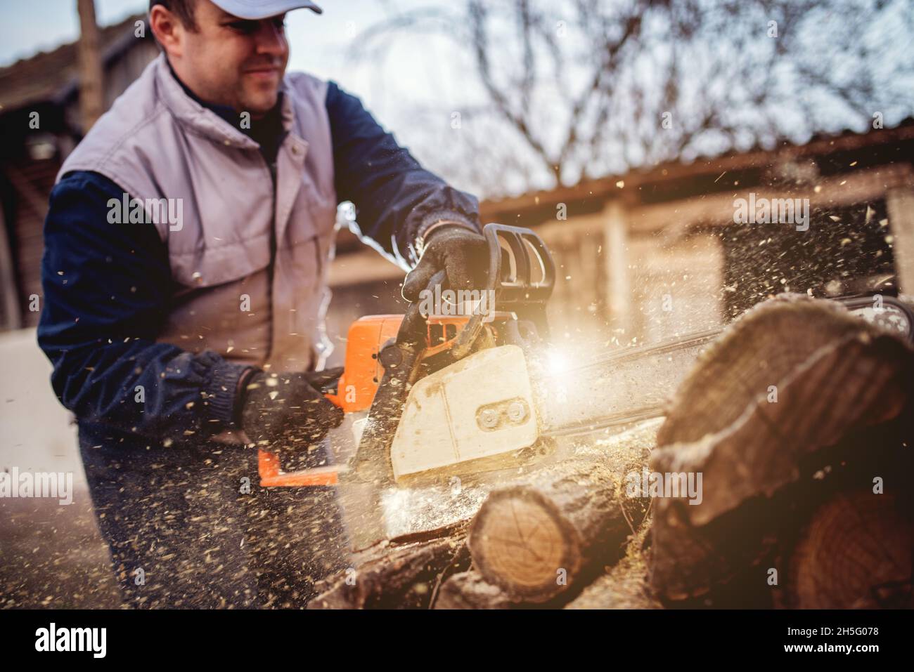 Chainsaw in action cutting wood. Man cutting wood with saw, dust and ...