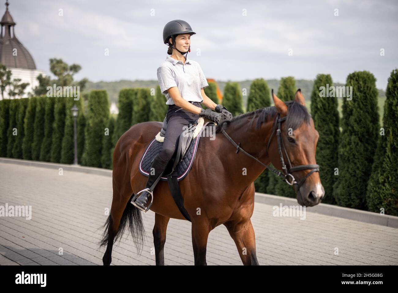 Female horseman riding brown Thoroughbred horse in summer Stock Photo ...