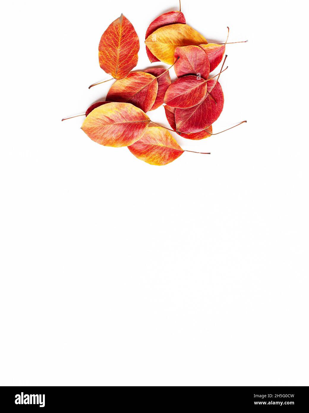 Scattered dark elements Cut Out Stock Images & Pictures - Alamy