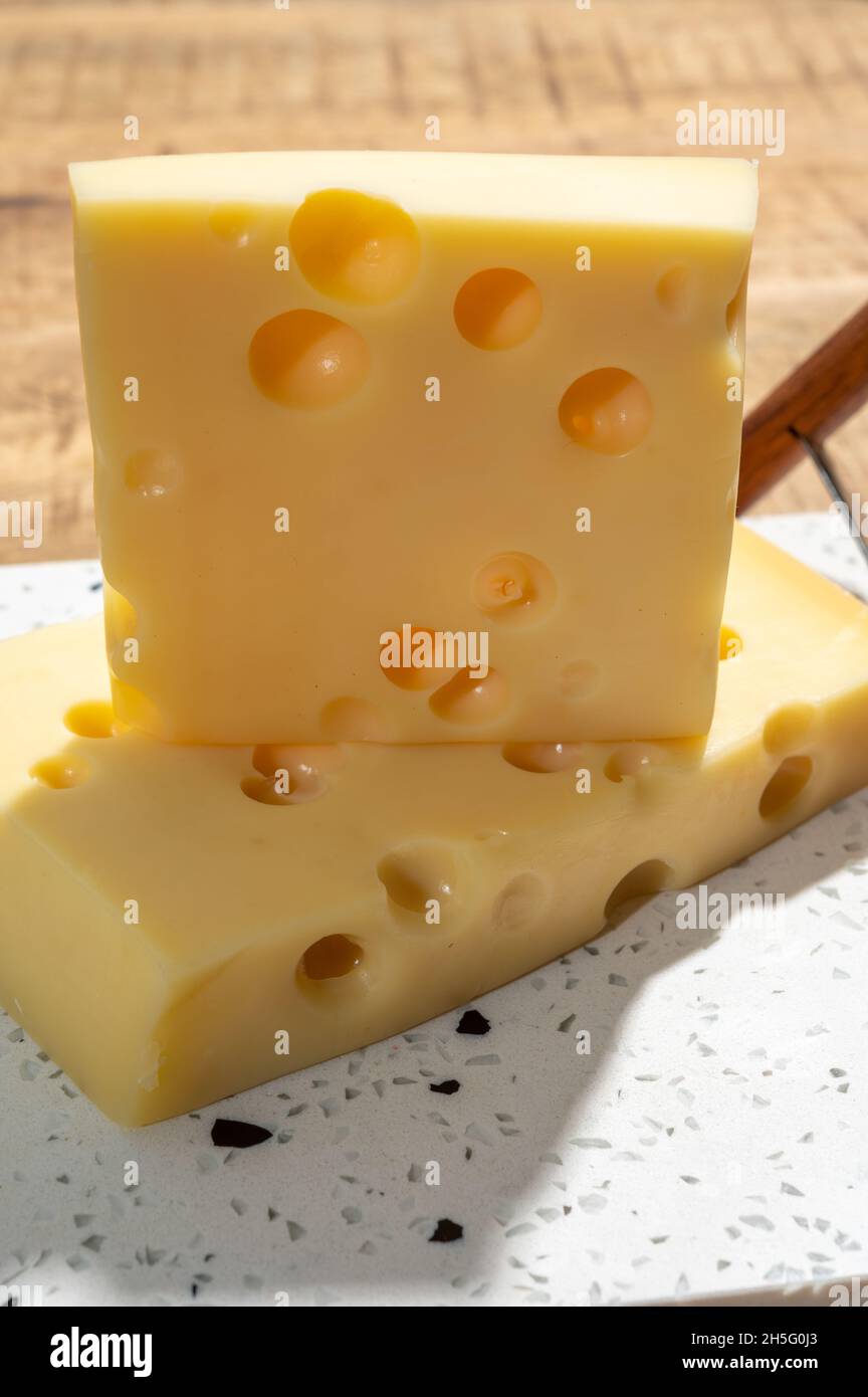 Cheese collection, blocks of French emmentaler cheese with many round ...