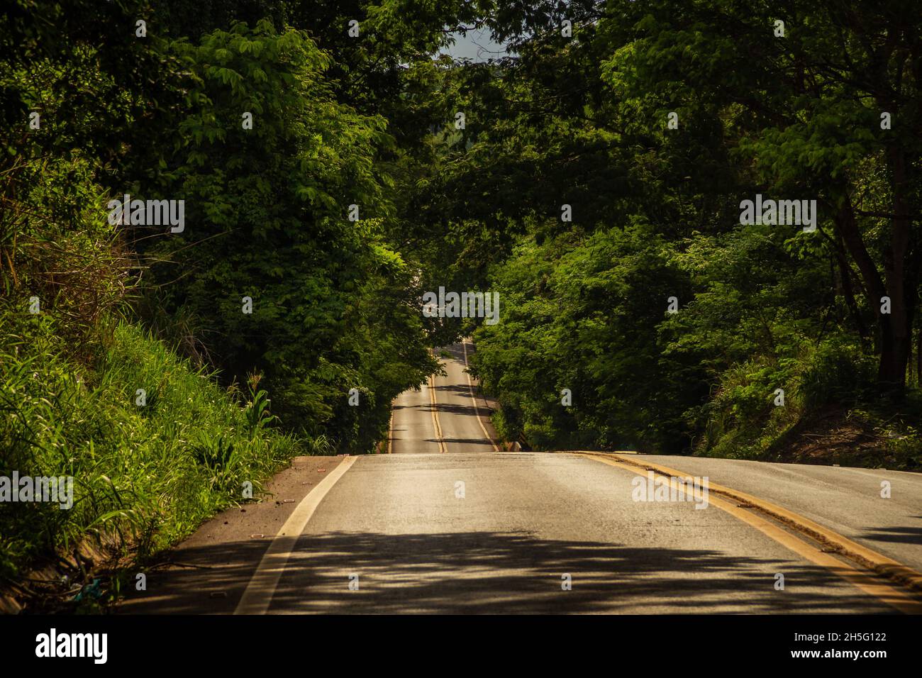 Landscape of a section of Highway GO-462 in Goiás. Tunnel of trees ...