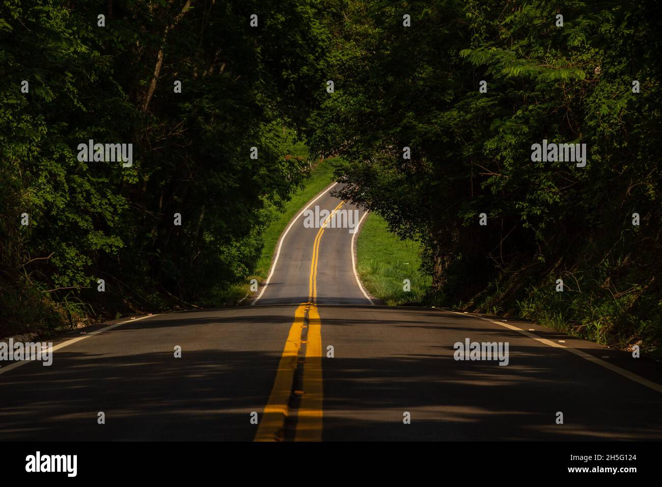 Landscape of a section of Highway GO-462 in Goiás. Tunnel of trees ...