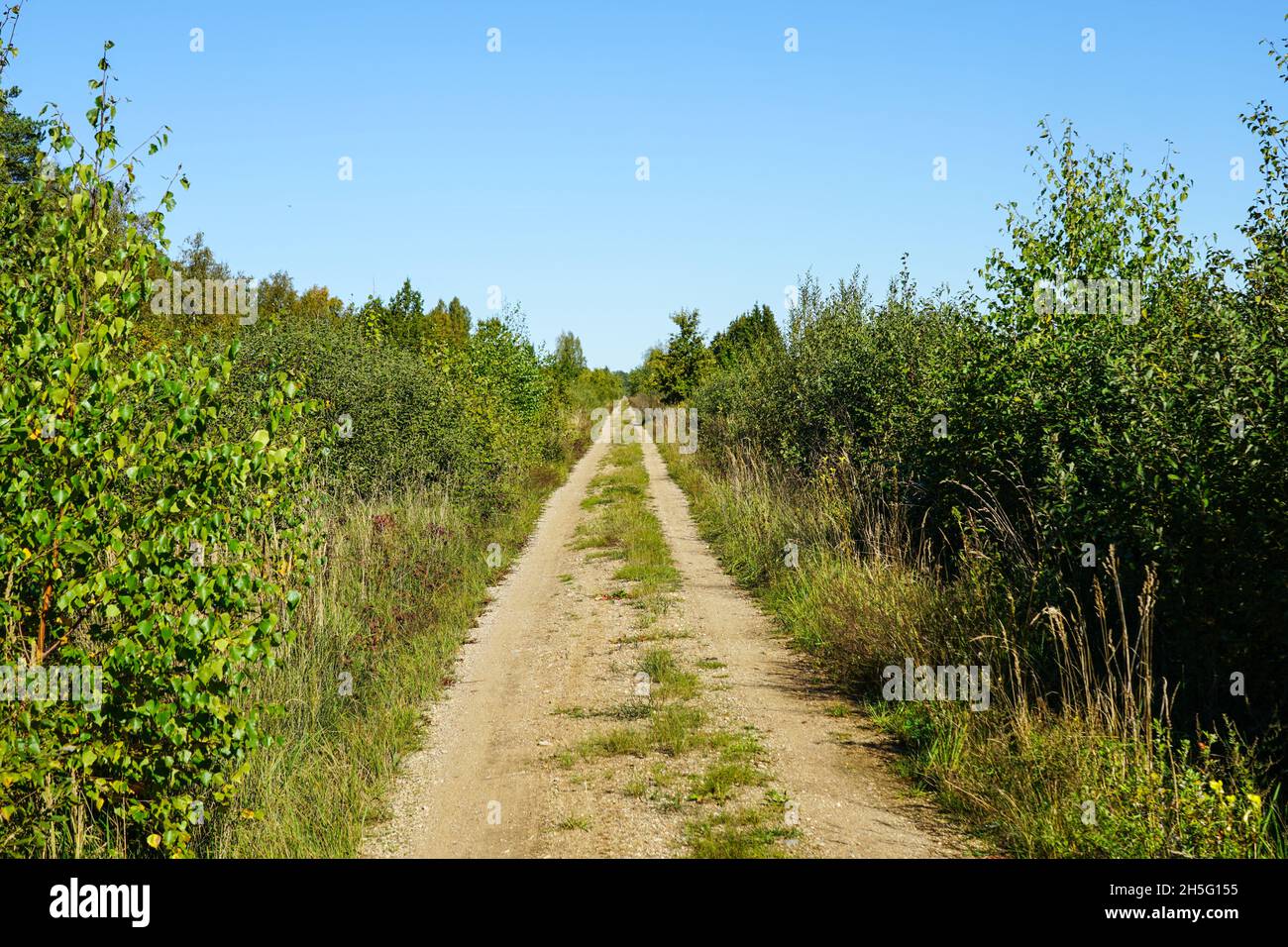 Gravel road through bushes hi-res stock photography and images - Alamy