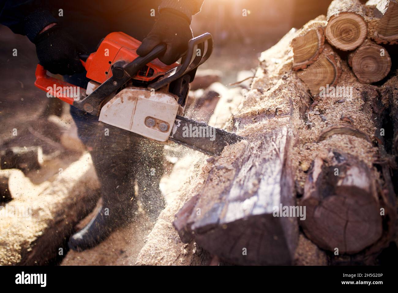 Close up of professional chainsaw cuts woods Stock Photo - Alamy