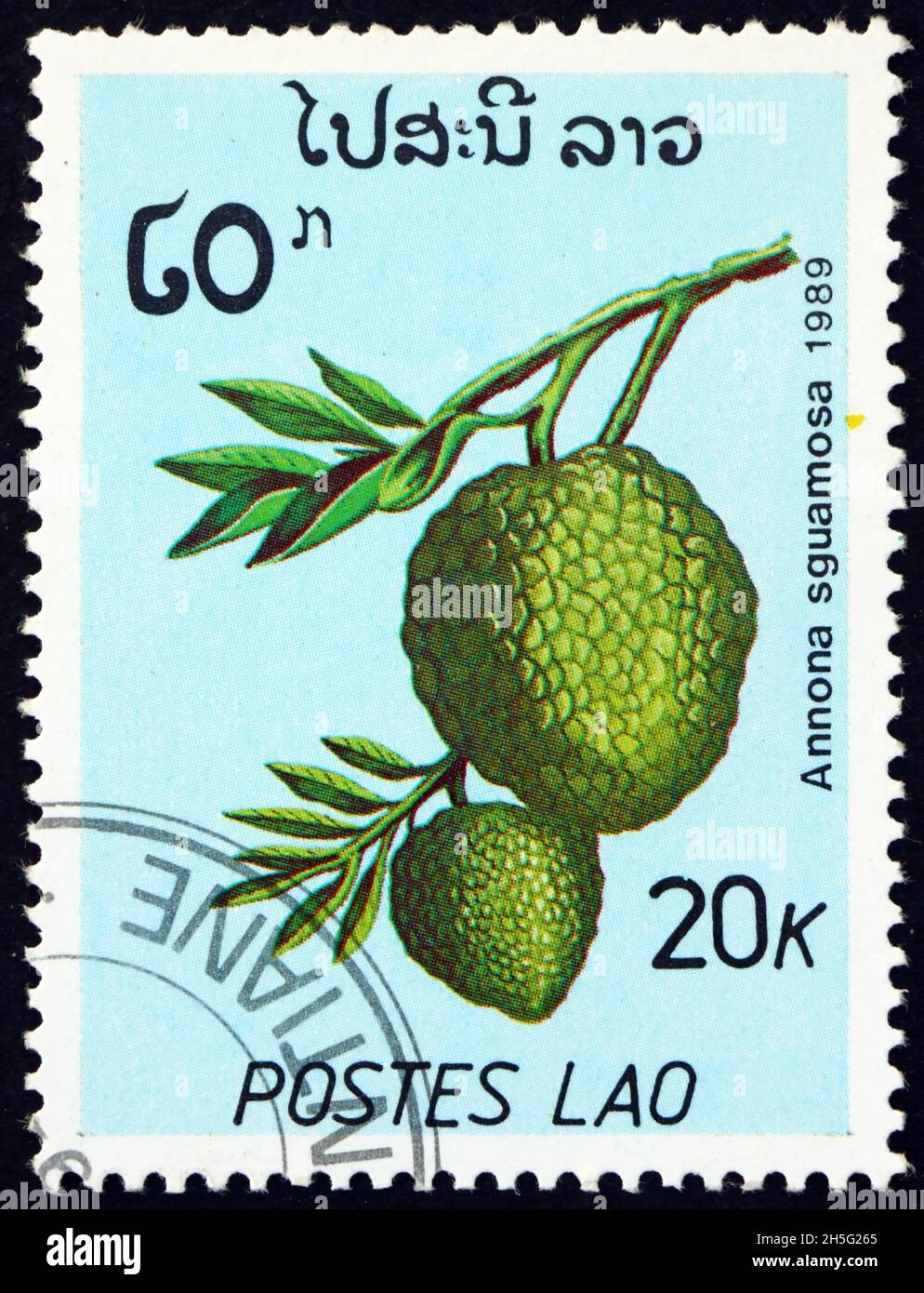 LAOS - CIRCA 1989: a stamp printed in Laos shows sugar-apple (annona ...