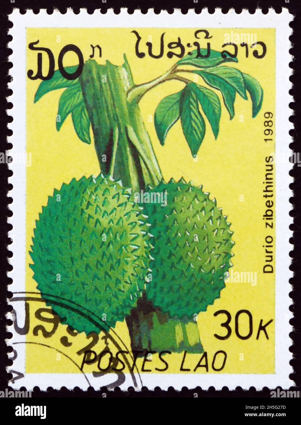 LAOS - CIRCA 1989: a stamp printed in Laos shows durian (durio ...