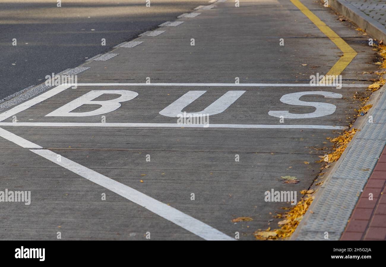 A picture of the bus lane marker, or sign, on a street Stock Photo - Alamy