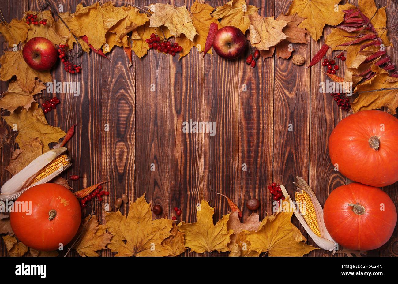 Autumn background with yellow maple leaves, pumpkins, red apples and ...
