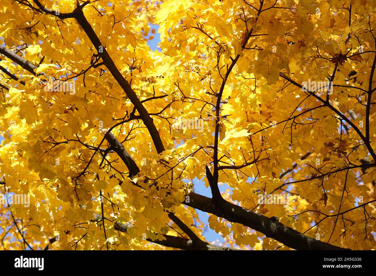 Ast background hi-res stock photography and images - Alamy