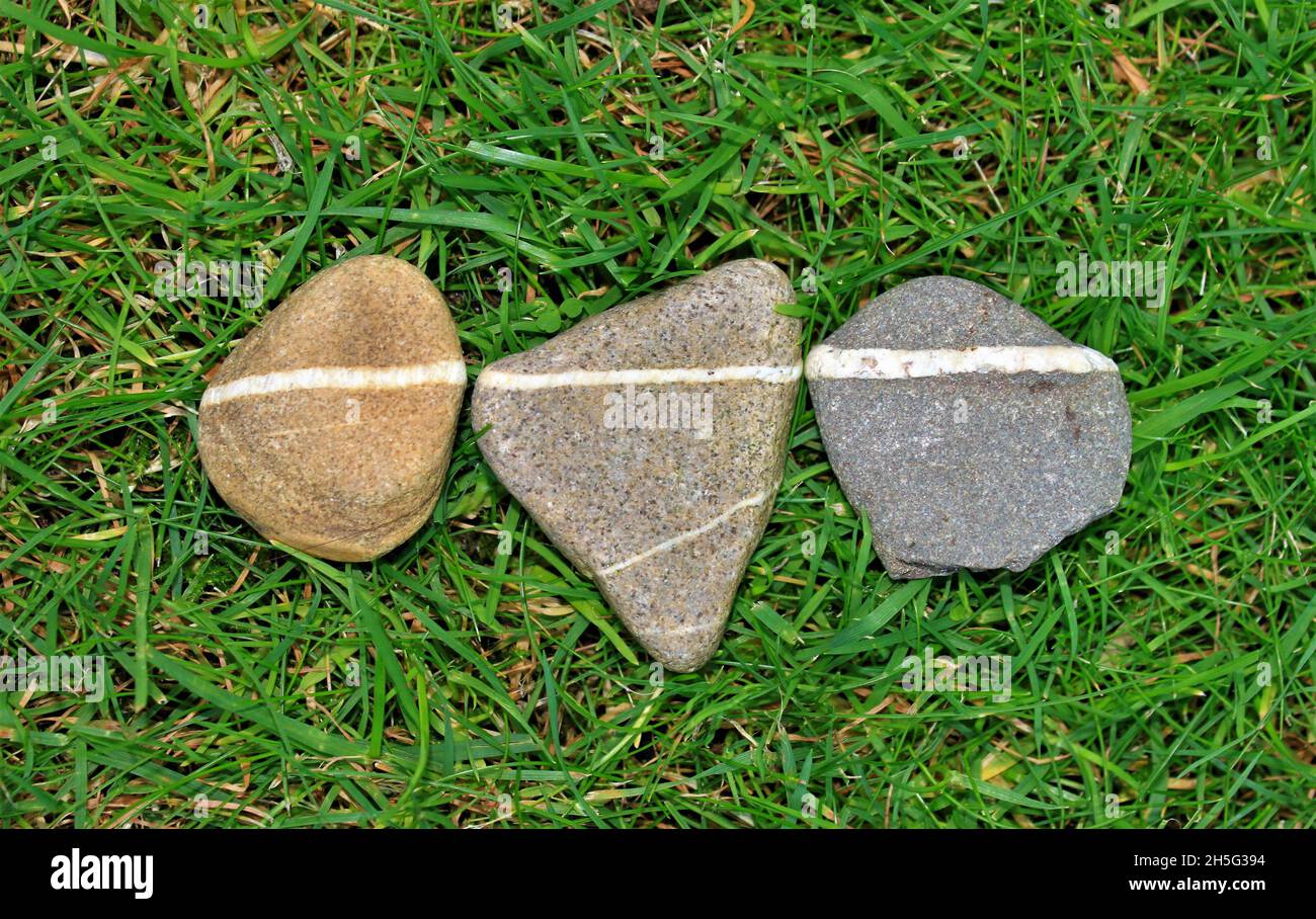 pebbles with a white line lie decorated on grass in a row so that the ...