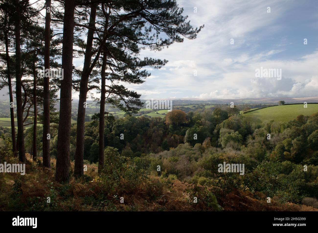 The Teign Valley from Castle Drogo, Drewsteignton, Devon, England Stock ...