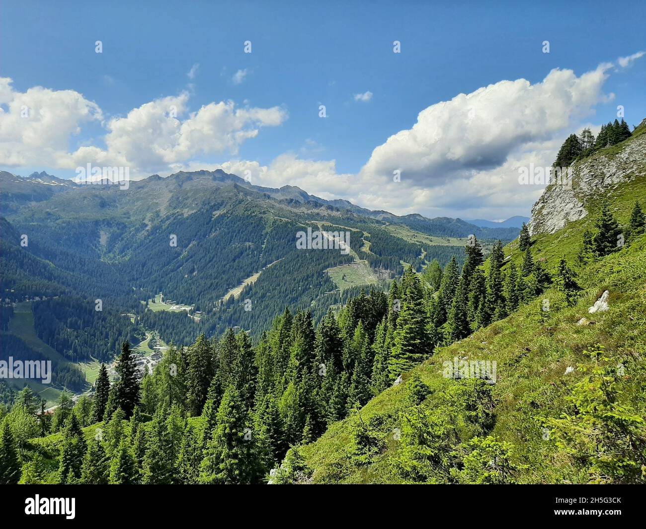 Countryside field forest sunny hi-res stock photography and images - Alamy