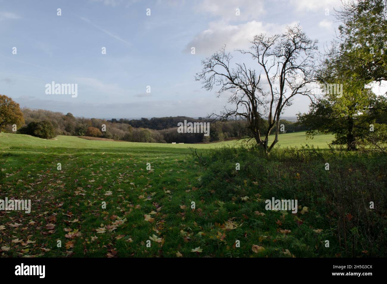 Piercefield Landscaping at Ava Ewers blog