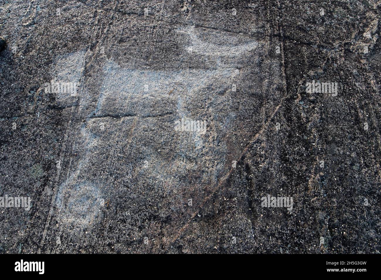 White Sea petroglyphs (ancient rock paintings) in Zalavruga, 4,5 ...