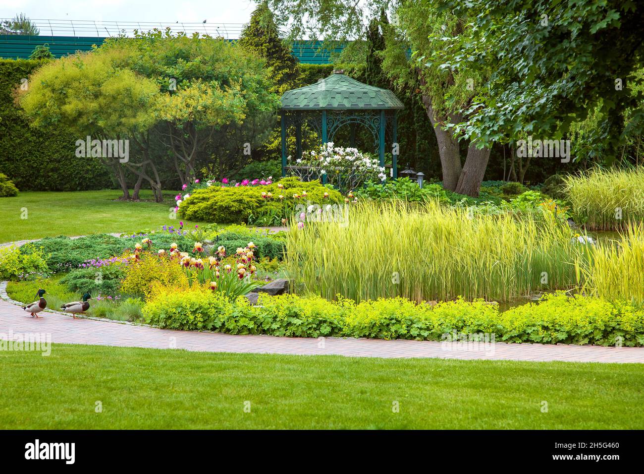 iron wrought iron gazebo with roof in park with trees and bushes by ...
