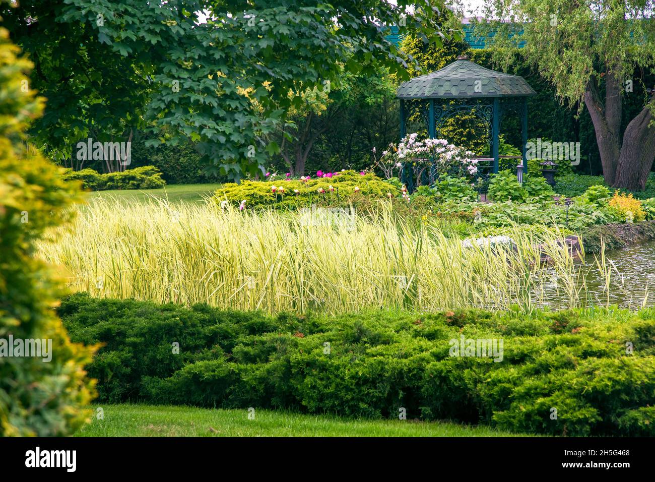 iron wrought iron gazebo with roof in park with trees and bushes by ...